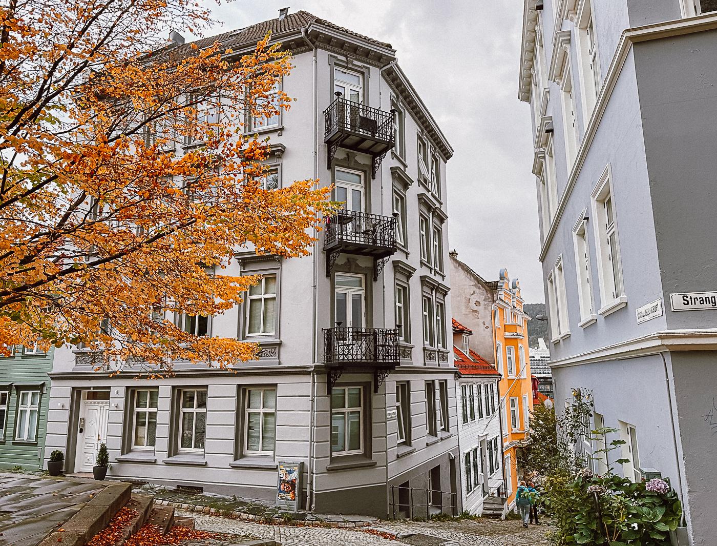 Fårikål (National Dish of Norway) - Scandinavian Cookbook